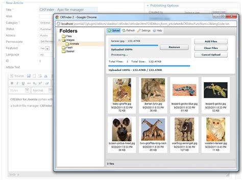 How To Install Wysiwyg Editor In Joomla WYSIWYG Editors