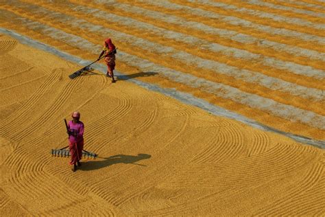 Climate Smart Agriculture Interventions Must Be Gender Responsive