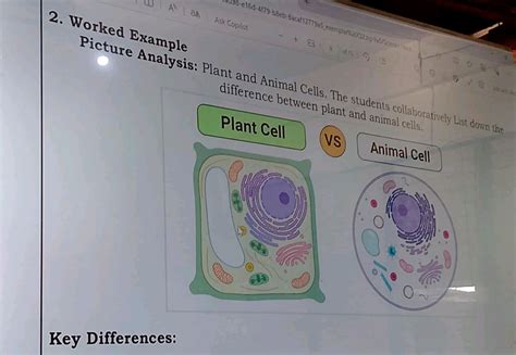 2 Worked Example Picture Analysis Plant And StudyX