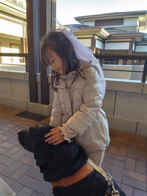 小さな声で モルゲンのキャリアチェンジ犬黒ラブすず