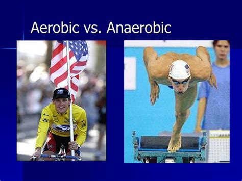 Ppt Aerobic Vs Anaerobic Powerpoint Presentation Free Download Id