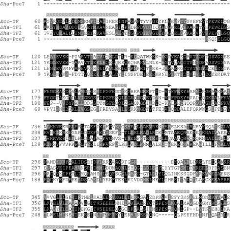 Protein Sequence Alignment Of Desulfitobacterium Tfs Full Length Tfs