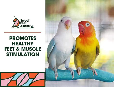 Safety Pumice Perch For Birds Trim Nails And Beak Promote Healthy