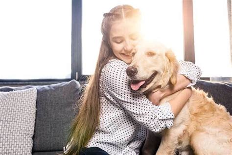 How To Make Your Dog Live Longer 5 Tips