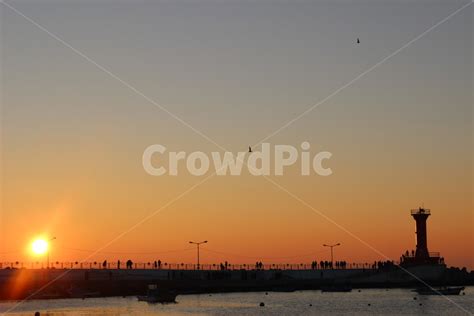 등대 해돋이 노을 일출 바다 사진이미지일러스트캘리그라피 Caracola작가