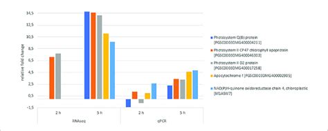 Differentially Expressed Genes Degs Validation Via Quantitative Pcr