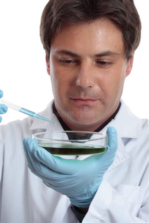 Teste Do Investigador Do Cientista Que Analisa O Trabalho De
