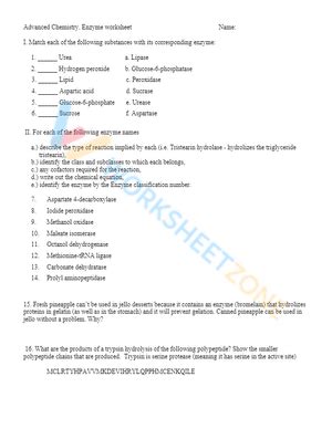 Enzyme Worksheets