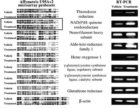 Figure 1 From Differential Gene Expression Patterns Revealed By Oligonucleotide Versus Long Cdna