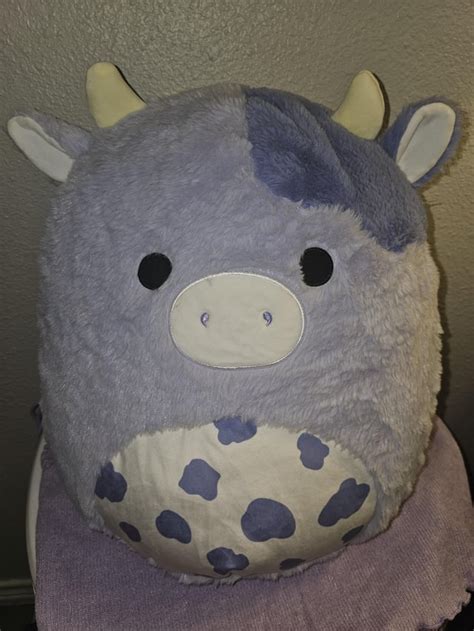 Im So Happy I Finally Found A Fuzzy Bubba In The Wild 💜💜 R Squishmallow