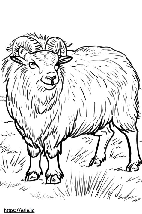 Akbash Cute Coloring Page