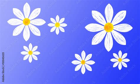 Kamille Stock Illustration Adobe Stock