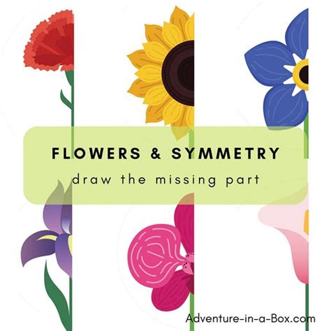 Flower Symmetry Draw The Missing Half Art Prompts