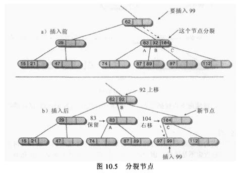 关于树的几种数据结构 三石磊磊 博客园 关于树的几种数据结构 三石磊磊 博客园
