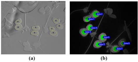 Remote Sensing Special Issue Remote And Proximal Sensing For