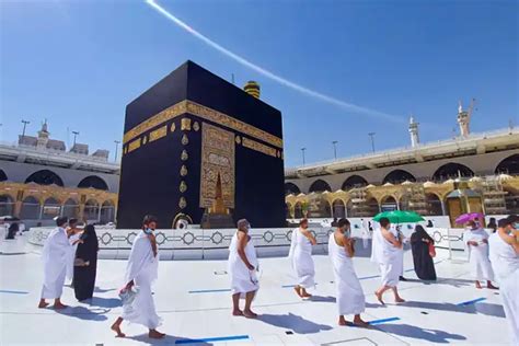 Hajj Live Video Tony Aigneis