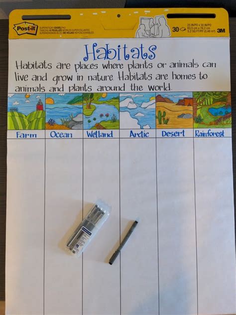 LAMINATED Customized Habitats Anchor Chart Etsy