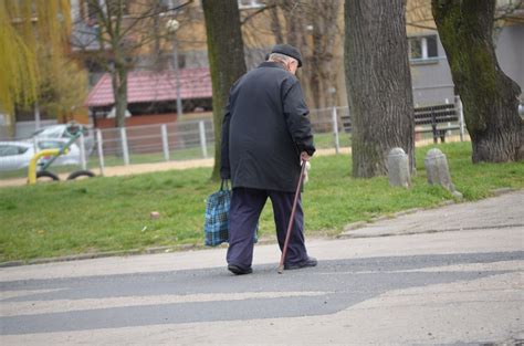 ZUS wypłaci przed świętami Bożego Narodzenia wszystkie emerytury i