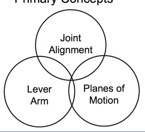 Biomechanics Principles Of Orthotics The Foot And Eval Flashcards