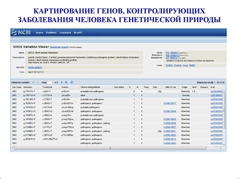 Идентификация генов ответственных за заболевания человека генетической