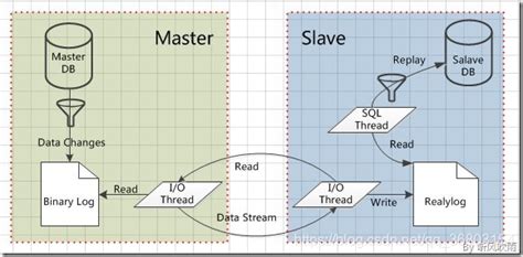 Mysql数据库主从（masterslave）配置详细步骤mysql Slave Csdn博客