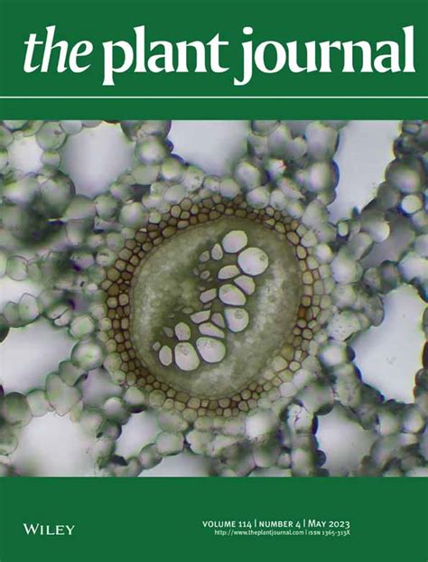 S‐nitrosylation Of The Histone Deacetylase Hda19 Stimulates Its