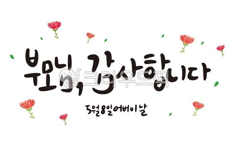 어버이날 어버이날일러스트 어버이날캘리그라피 캘리그라피 카네이션 사진 이미지 일러스트 캘리그라피 Yun2작가