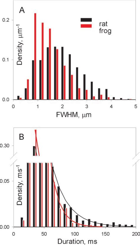the distribution of spatial width and duration in rats and frogs the