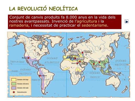 PPT EL NEOLÍTIC PowerPoint Presentation free download ID 1069503