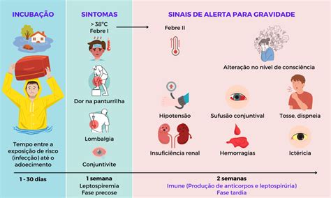 Leptospirose Em Meio As Enchentes De 2024 Rs Data