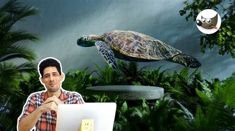 Learn Photo Manipulation With Gimp Beginner To Intermediate Guide R