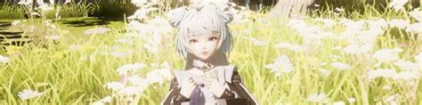 Dragon Raja Fallen Star Guide Full Tale Walkthrough