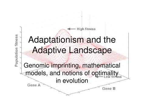 Ppt Adaptationism And The Adaptive Landscape Powerpoint Presentation Id