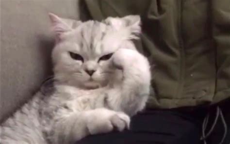 Elena သူများတွေတော့ မသိတော့ဘူး ကိုယ့်စိတ်က လူတယောက်ကို စာရိတ္တဖောက်ပြန်တဲ့လူလို့ သိတဲ့နေ့ကစ အခ