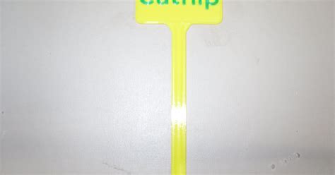 Plant Label Catnip By Lmj Download Free Stl Model