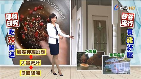 台視新聞主播林益如 晚間新聞播報片段 2018 6 27 YouTube