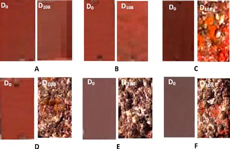 Figure From Green Synthesis Of TiO Nanoparticles Using Natural Marine Extracts For