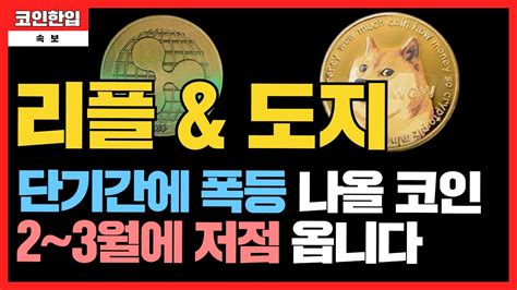 리플도지코인 단기간에 폭등 나올 확률 높은 코인 리플and도지 저점 곧입니다 도지코인 리플 실시간 대응전략 브리핑 Youtube
