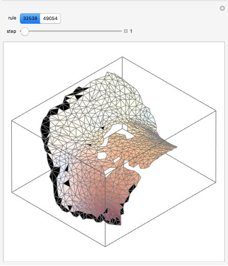 2d Cellular Automaton On A Triangulated Surface Wolfram