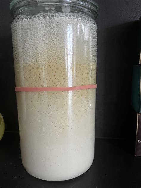 Has My Sourdough Gone Bad R Sourdough