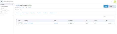 Rancher K3s Docker私有仓库搭建k8环境（百分之百成功）rancher K3s Csdn博客