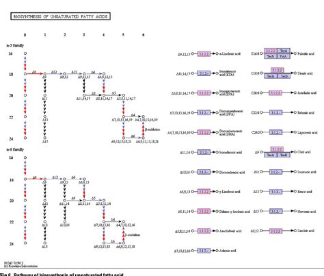 Figure 1 From Comparative Transcriptome Analysis In The Hepatopancreas