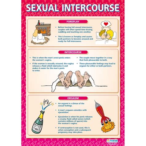 Sexual Intercourse Poster Daydream Education