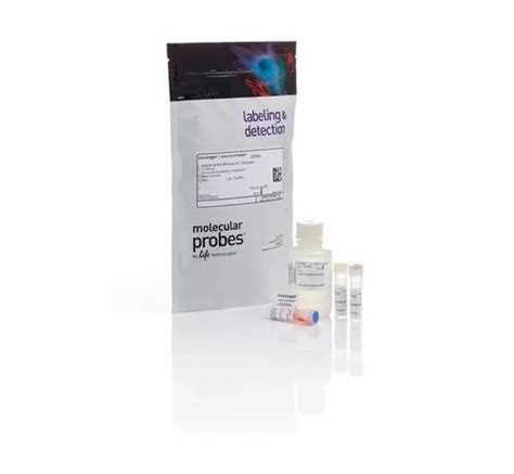 Qubit Dsdna Quantification Assay Kits Q32850 At Best Price In Ghaziabad