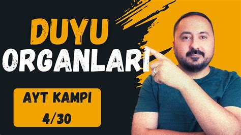 Duyu Organları 30 Derste AYT Biyoloji Kampı 4 Ders 2025 Cici