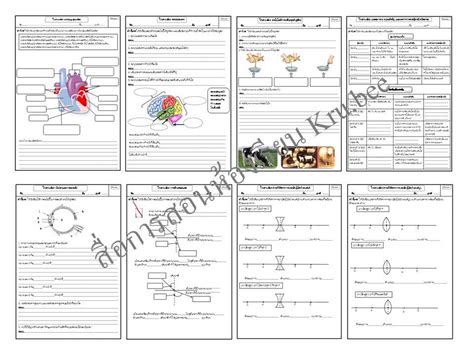 ใบงานวิทยาศาสตร์พร้อมส่ง ม 2 แผนการสอนคณิตศาสตร์ สสวท