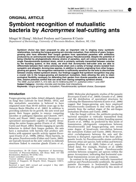 Pdf Symbiont Recognition Of Mutualistic Bacteria By Acromyrmex Leaf Cutting Ants