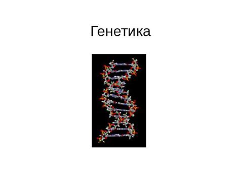 Презентация на тему Генетика скачать бесплатно презентации по Биологии