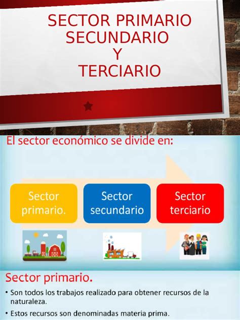 Sector Primario Secundario Y Terciario Decimo Pdf