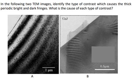 Solved In The Following Two Tem Images Identify The Type Of
